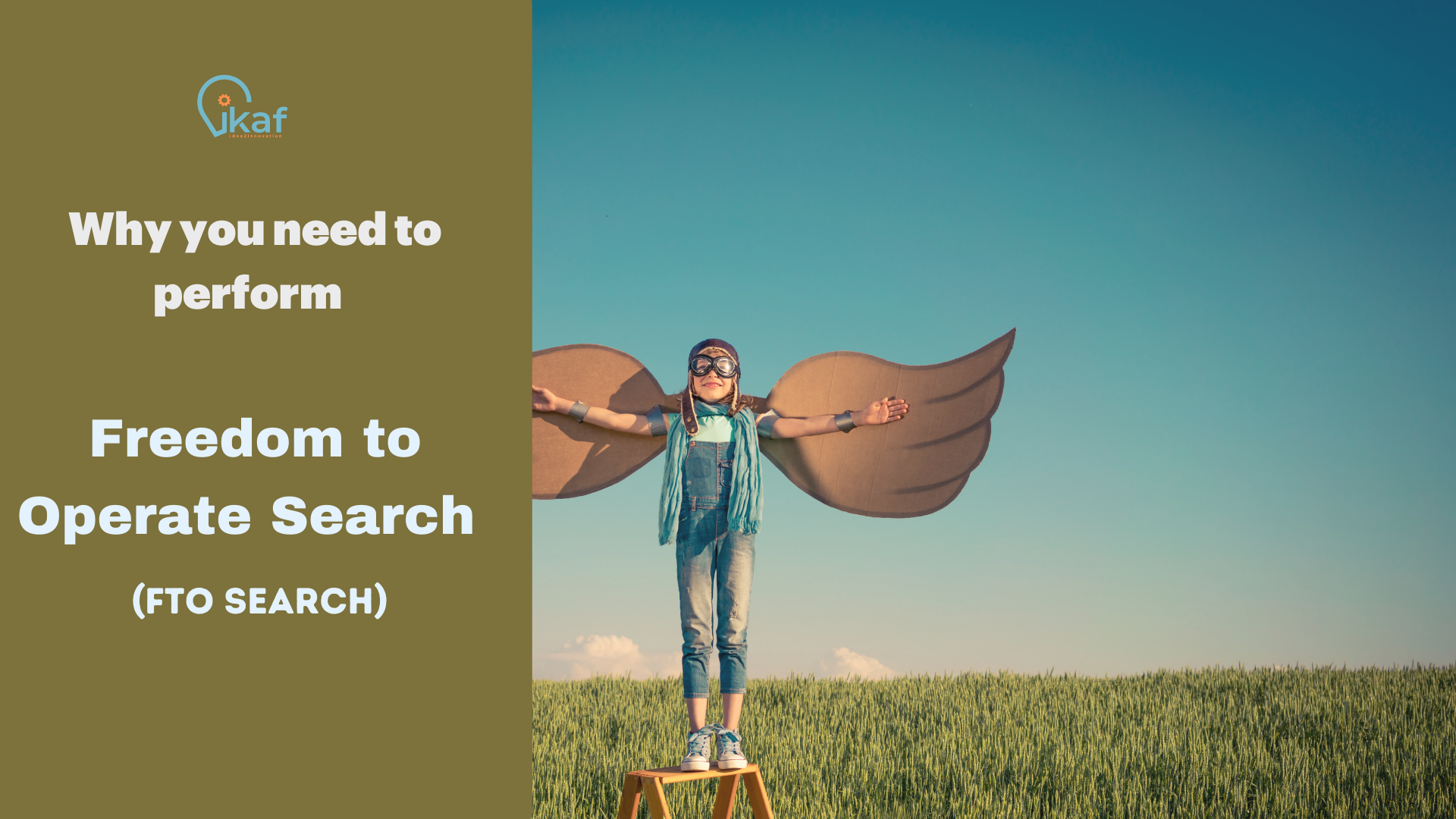 Freedom to Operate Search (FTO): What It Is and Why You Need it As A ...